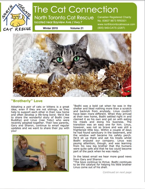 Newsletter - North Toronto Cat Rescue