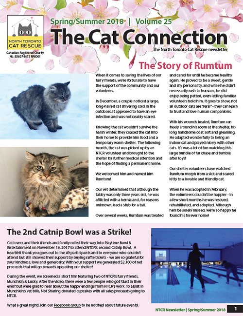 Newsletter - North Toronto Cat Rescue