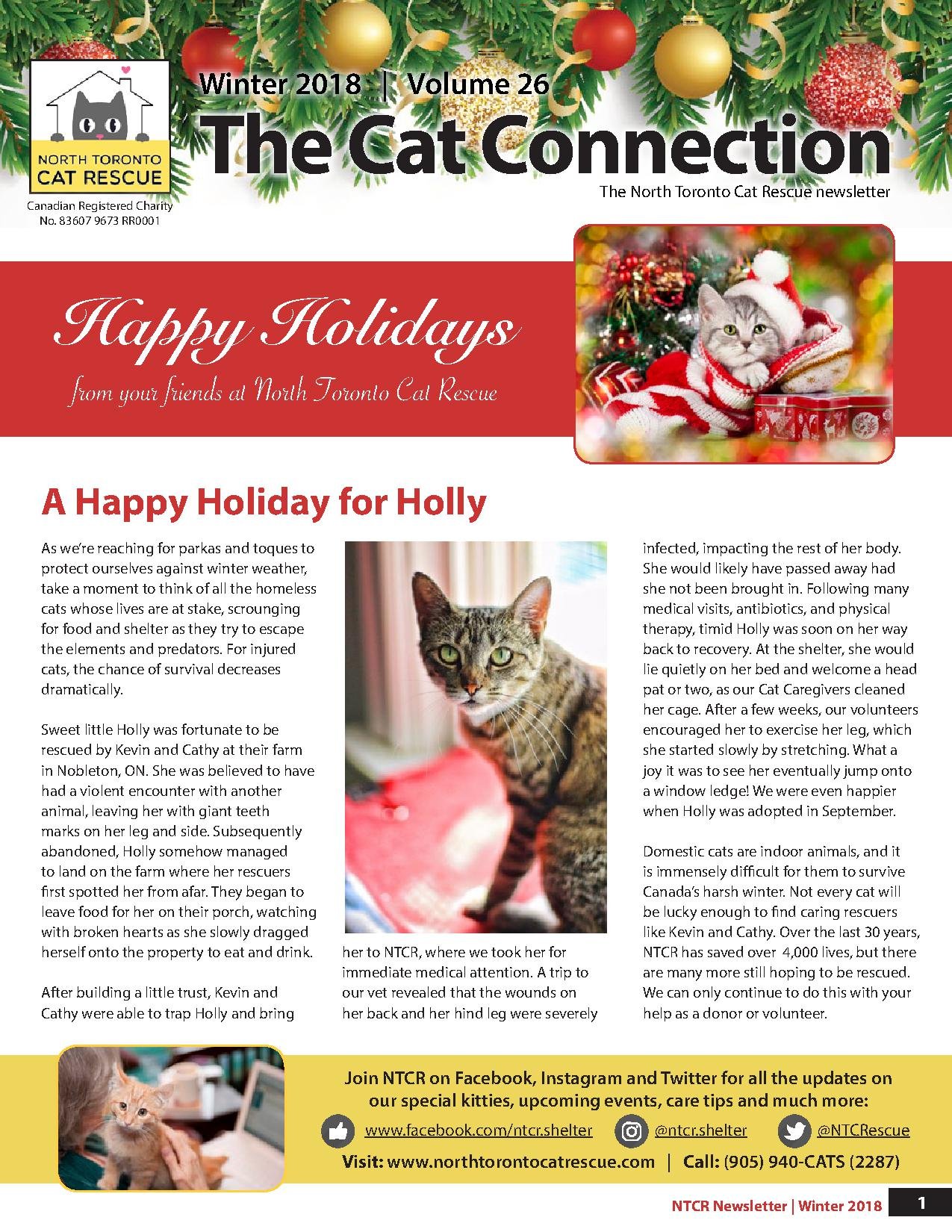 Newsletter - North Toronto Cat Rescue