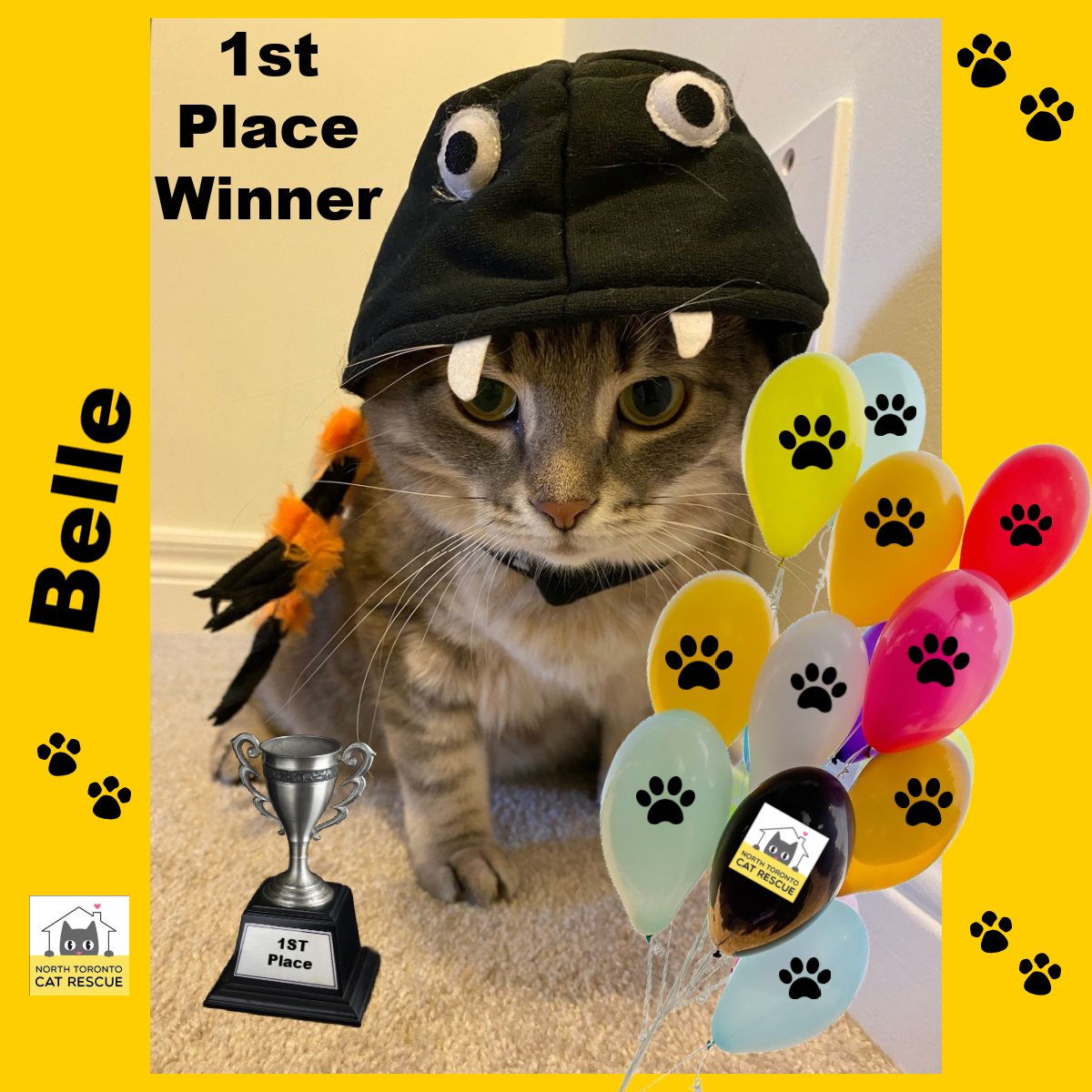 CONGRATULATIONS To Our 7th GOGO Photo Contest WINNERS! - North Toronto ...